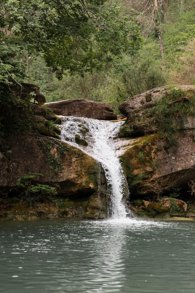Kerala Forest Ecotourism