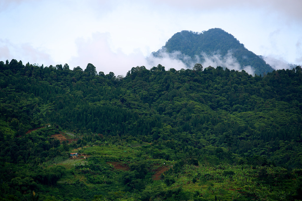 Kerala Forest Ecotourism