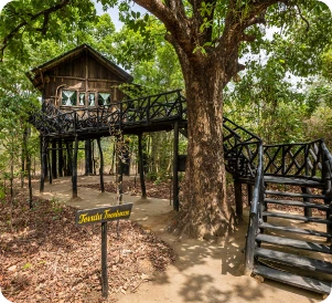Kerala Forest Ecotourism