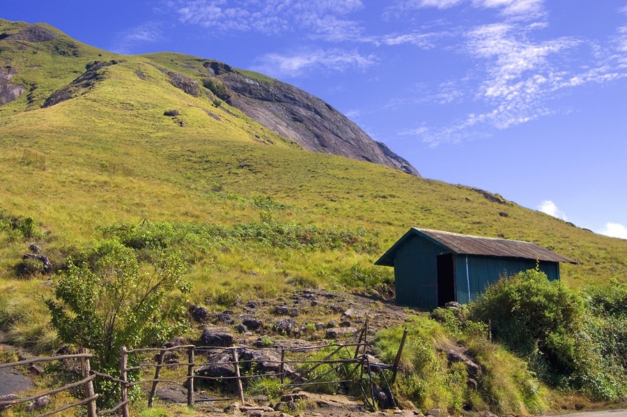 Kerala Forest Ecotourism